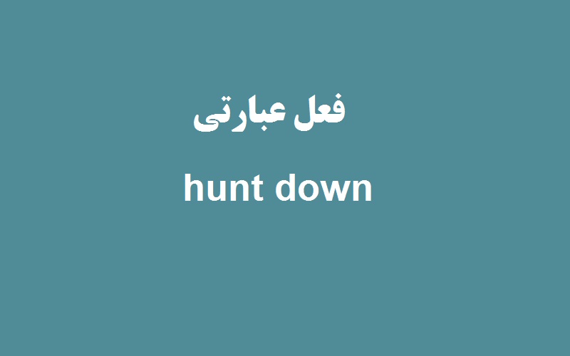 کاربرد و معنی hunt down چیست؟ - زبانشناس